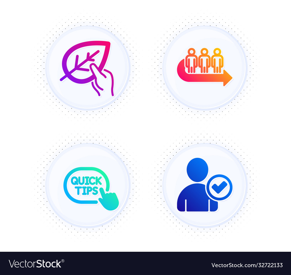 Queue quick tips and organic tested icons set Vector Image