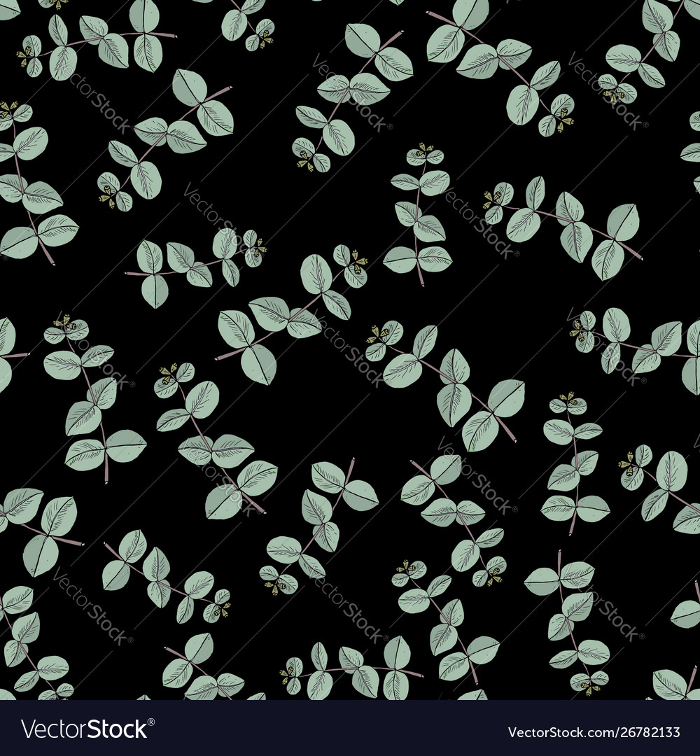 Seamless pattern with branches eucalyptus Vector Image