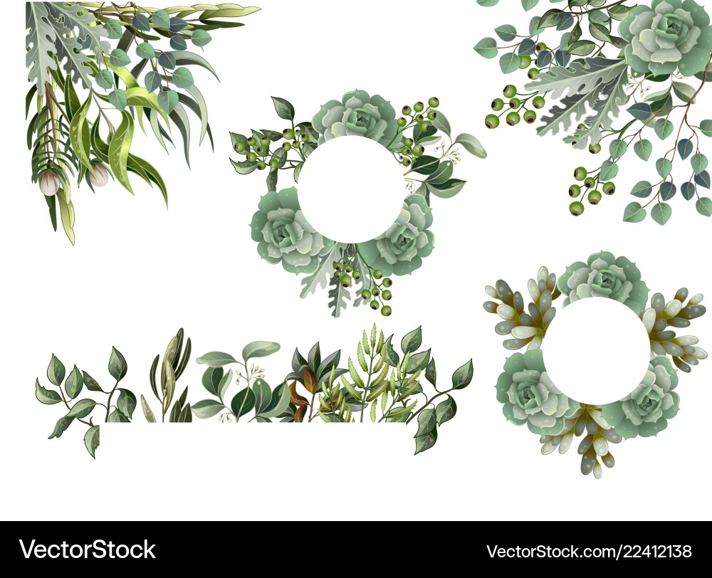 Border and frame with leaves and succulent Vector Image