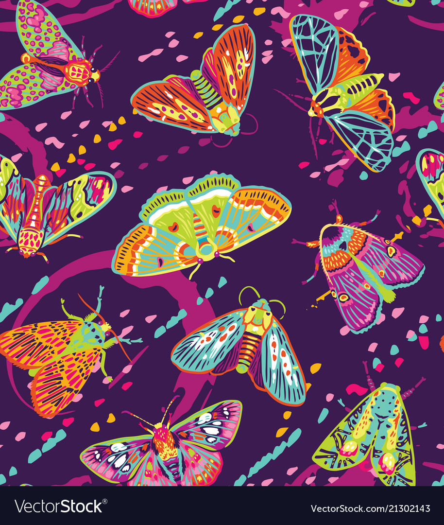 Cute butterflies seamless pattern colorful Vector Image Cute butterflies seamless pattern colorful Vector Image