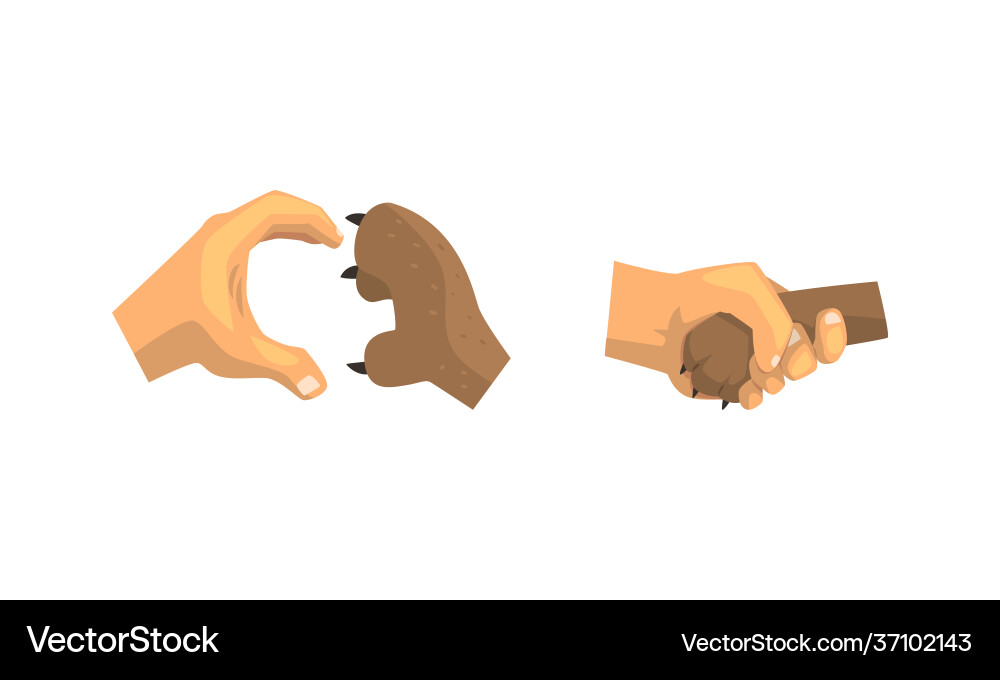 Dog paw and human hand gesturing clutching Vector Image