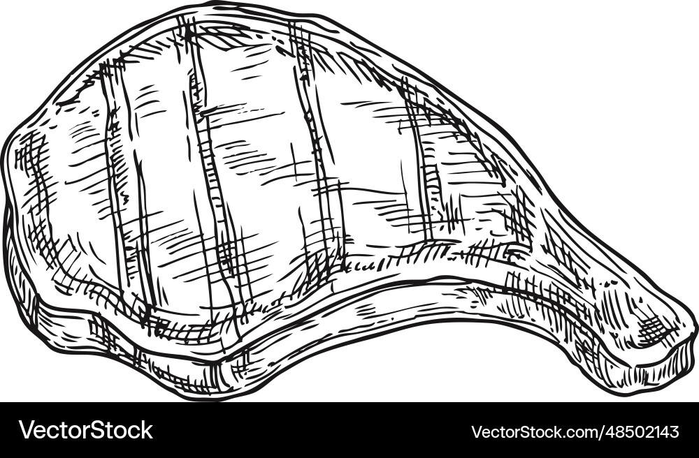 Grilled meat steak engraving food menu drawing Vector Image