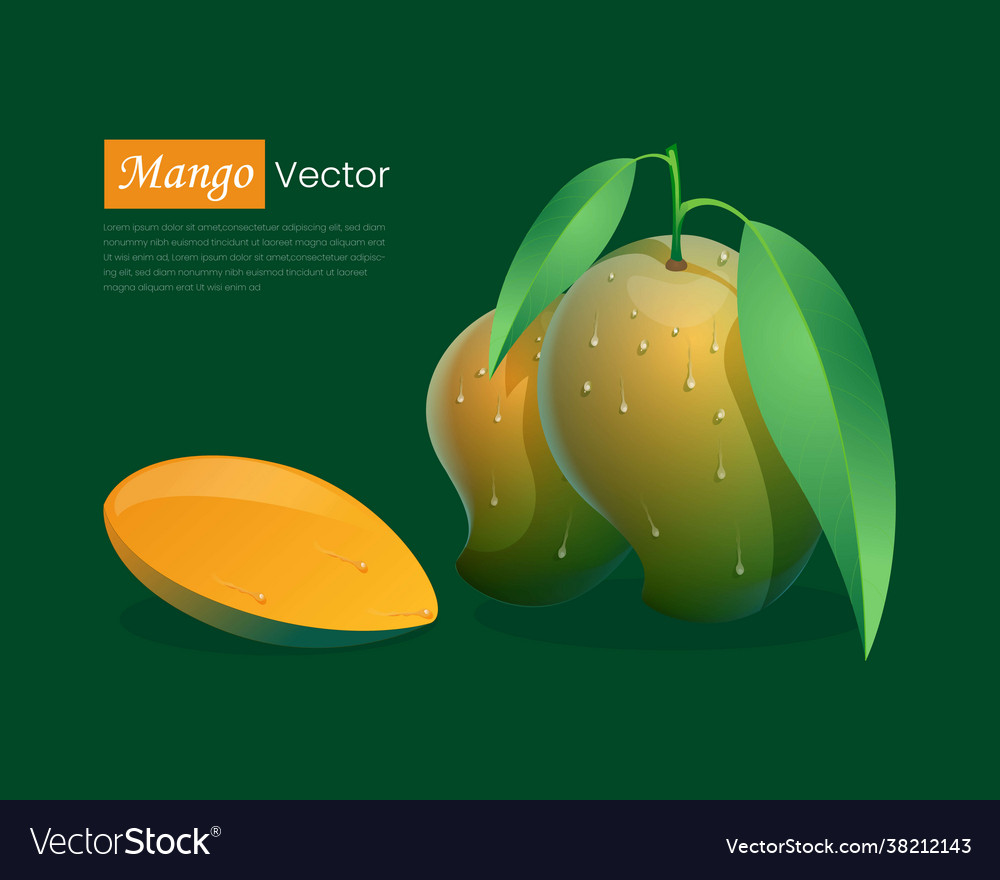 Mango realistic Royalty Free Vector Image - VectorStock