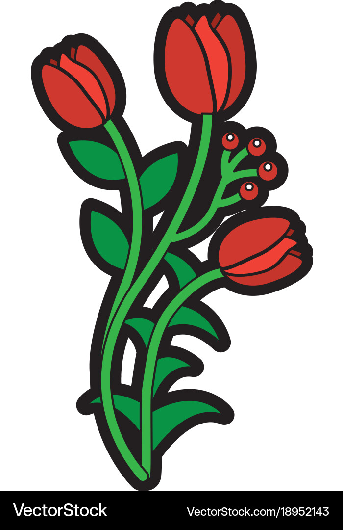 Natural flowers berry stem leaves flora image Vector Image