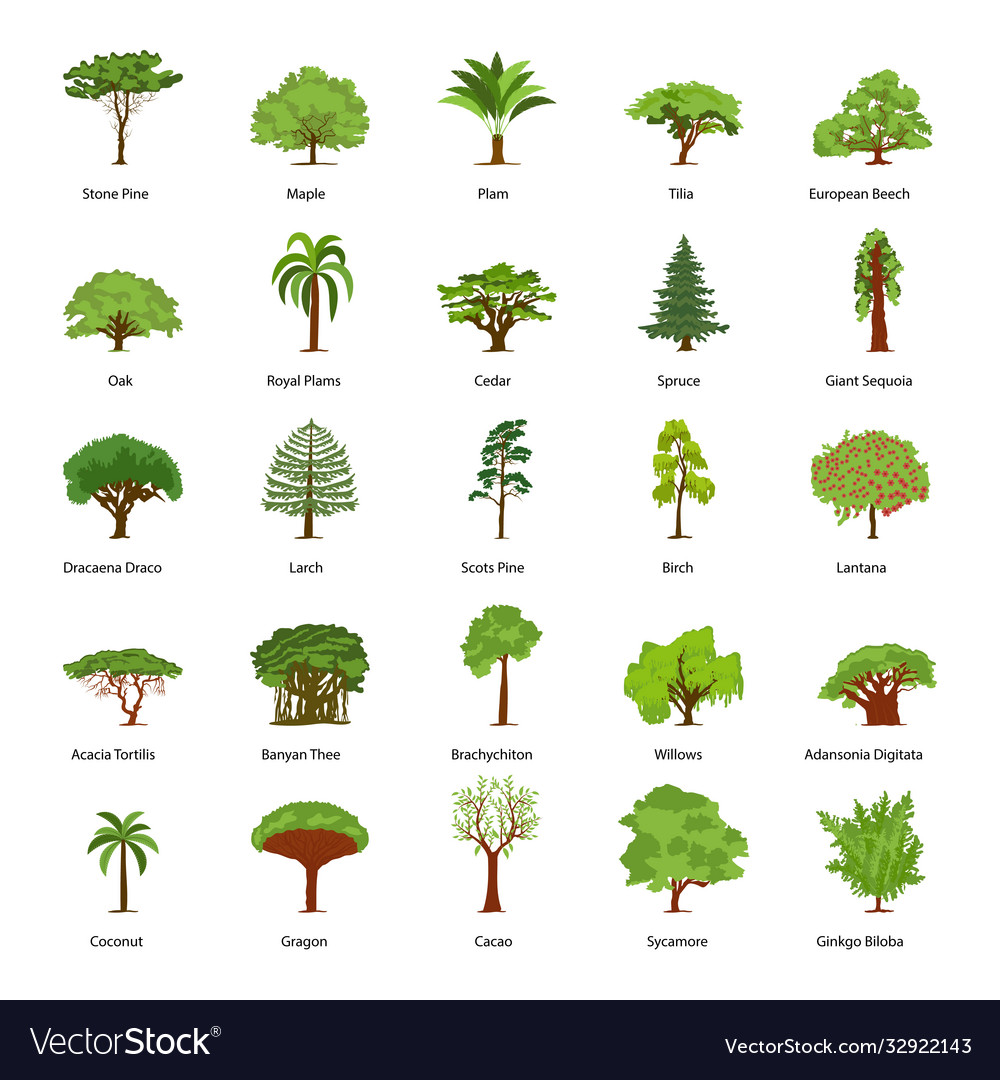 Pack trees flat icons Royalty Free Vector Image