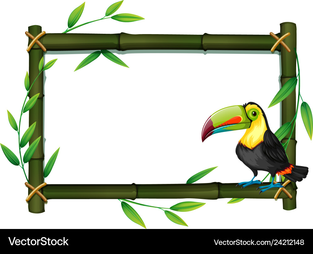 Toucan on bamboo border Royalty Free Vector Image