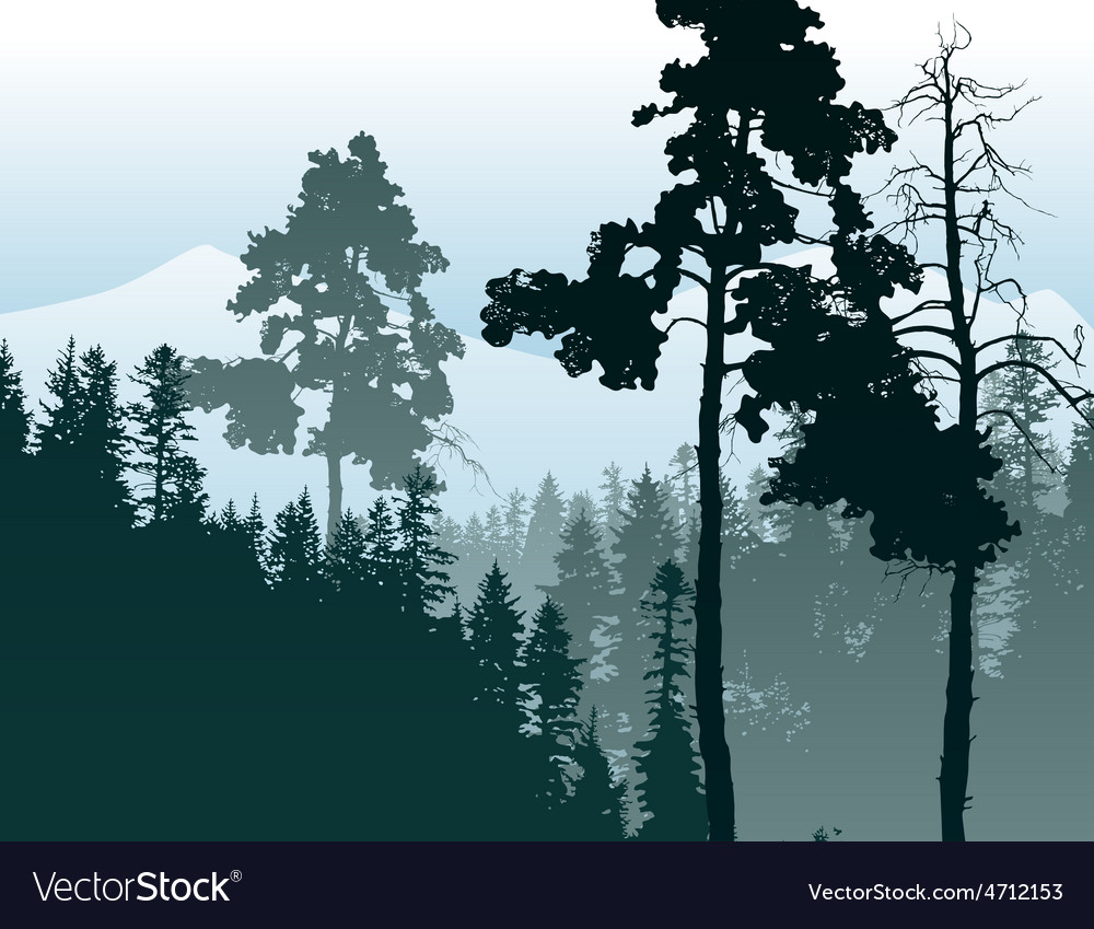 Forest landscape Royalty Free Vector Image - VectorStock
