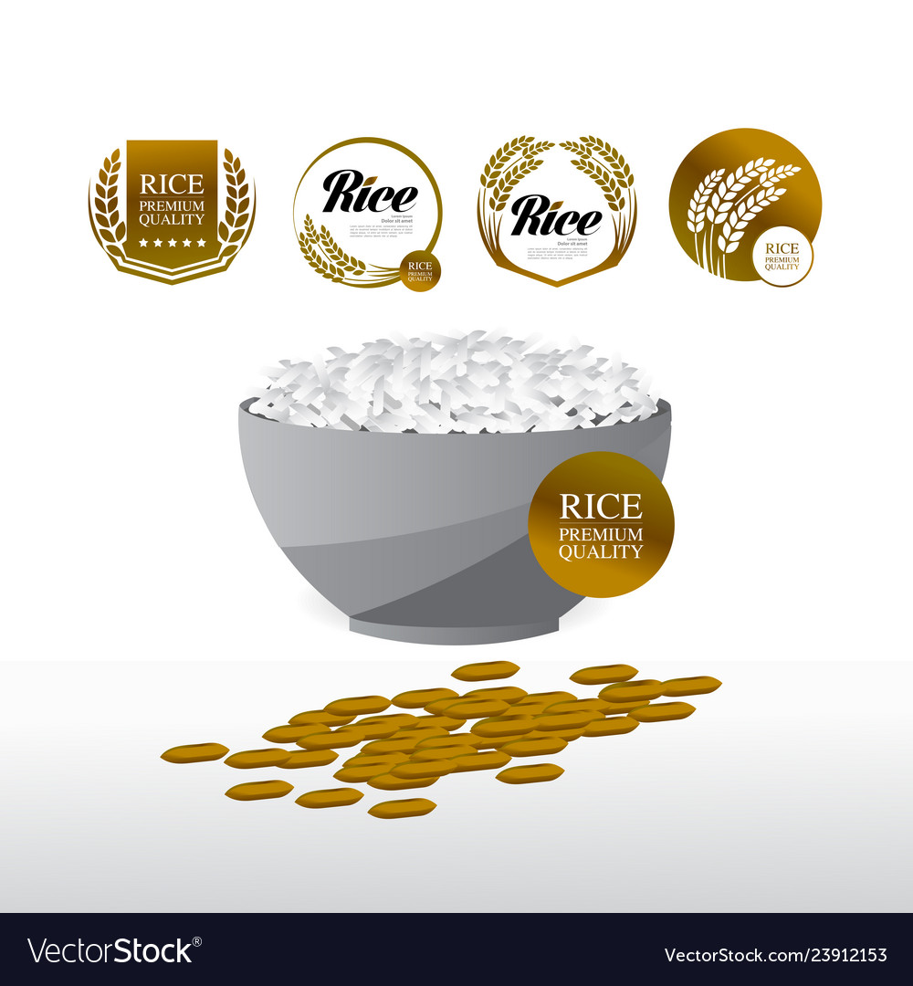 Premium rice great quality design concept Vector Image