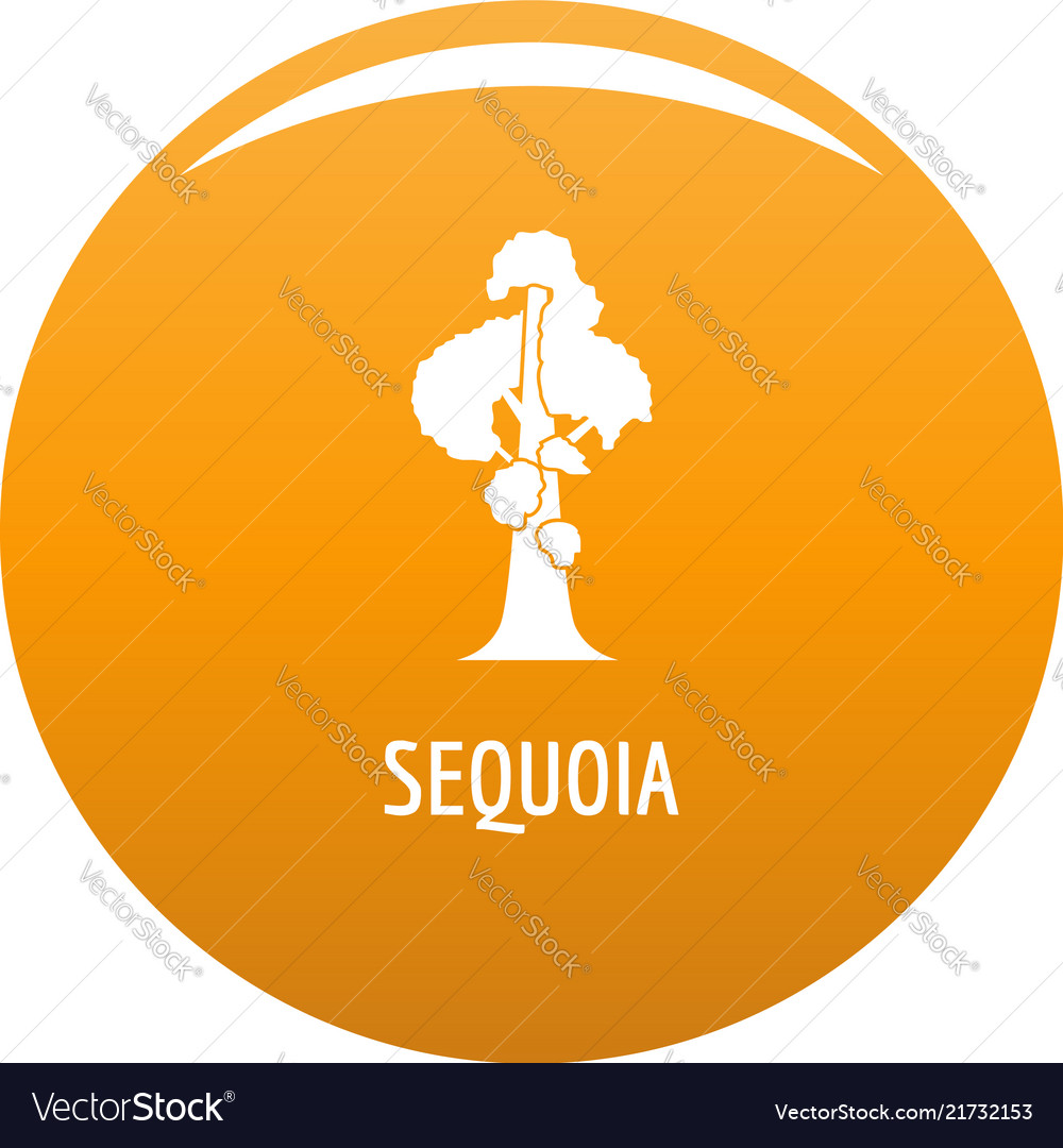 Sequoia icon orange Royalty Free Vector Image - VectorStock