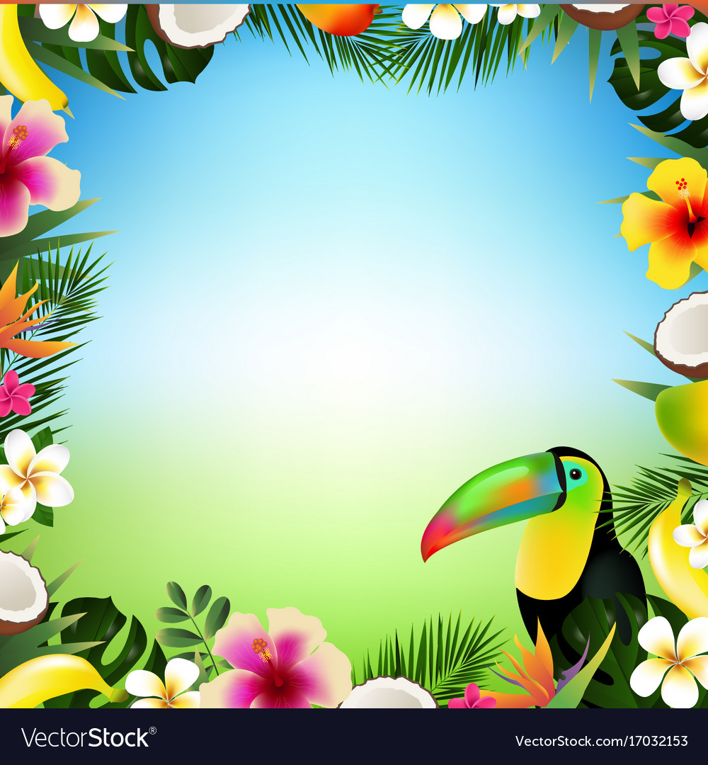 Tropical frame Royalty Free Vector Image - VectorStock