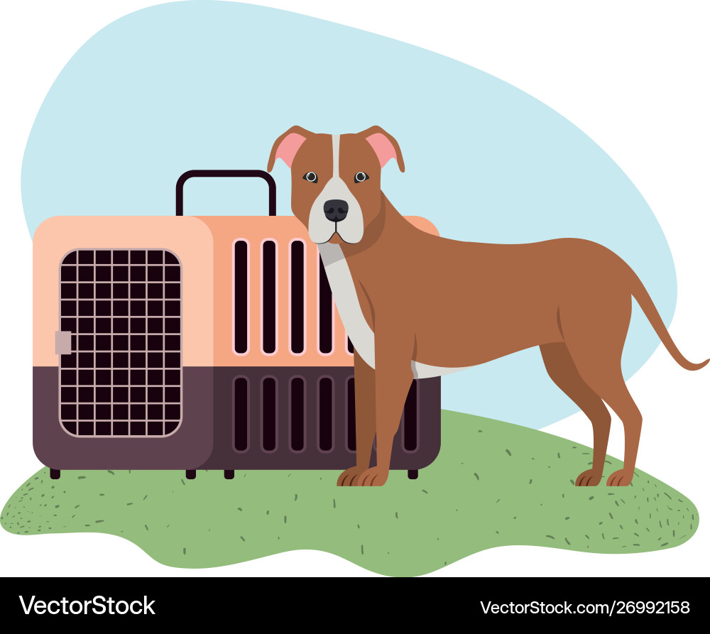 Dog and pet transport box with background Vector Image