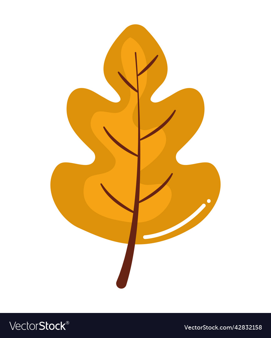 Fall leaf design Royalty Free Vector Image - VectorStock