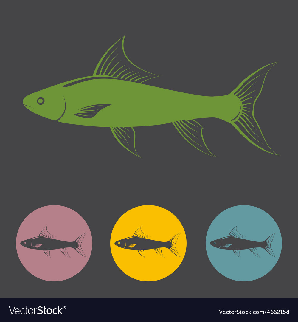Fish Royalty Free Vector Image - VectorStock