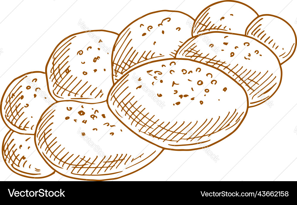 Pastry food braided bread isolated sketch Vector Image