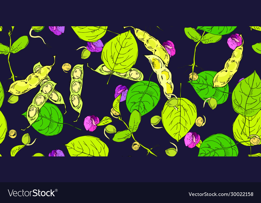Seamless pattern with legume crops Royalty Free Vector Image