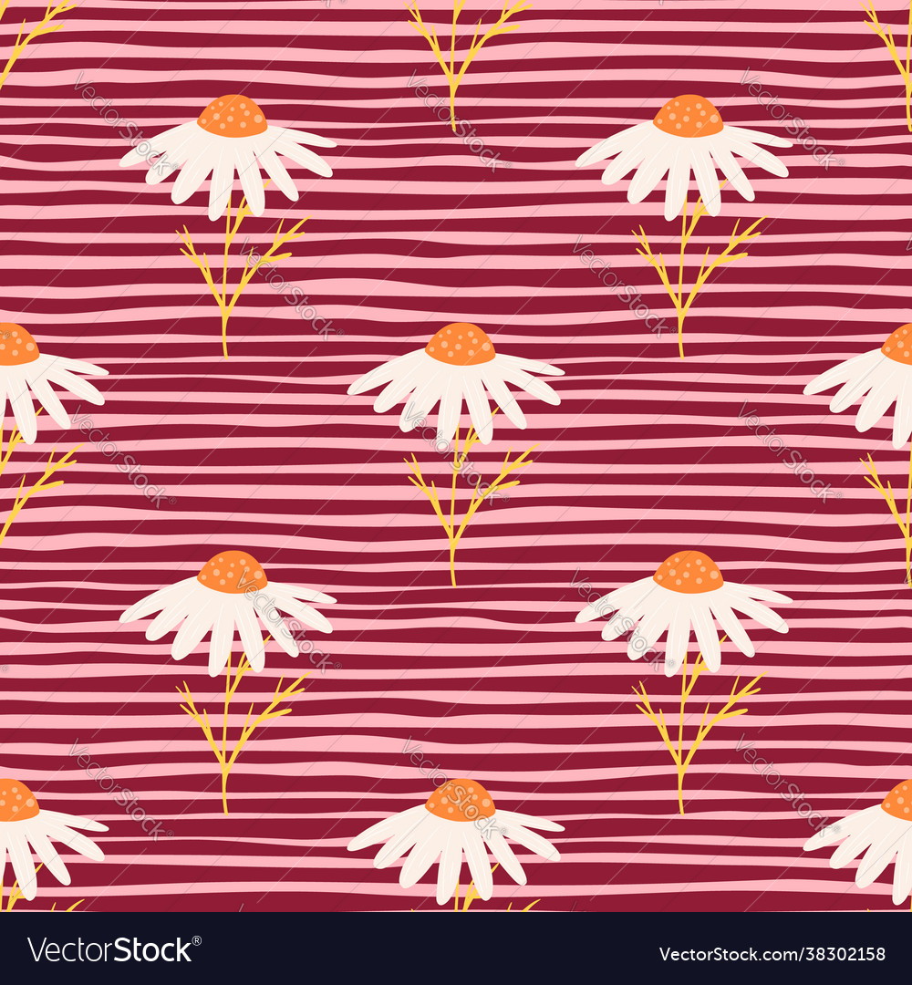 Spring seamless pattern with cute white daisy Vector Image