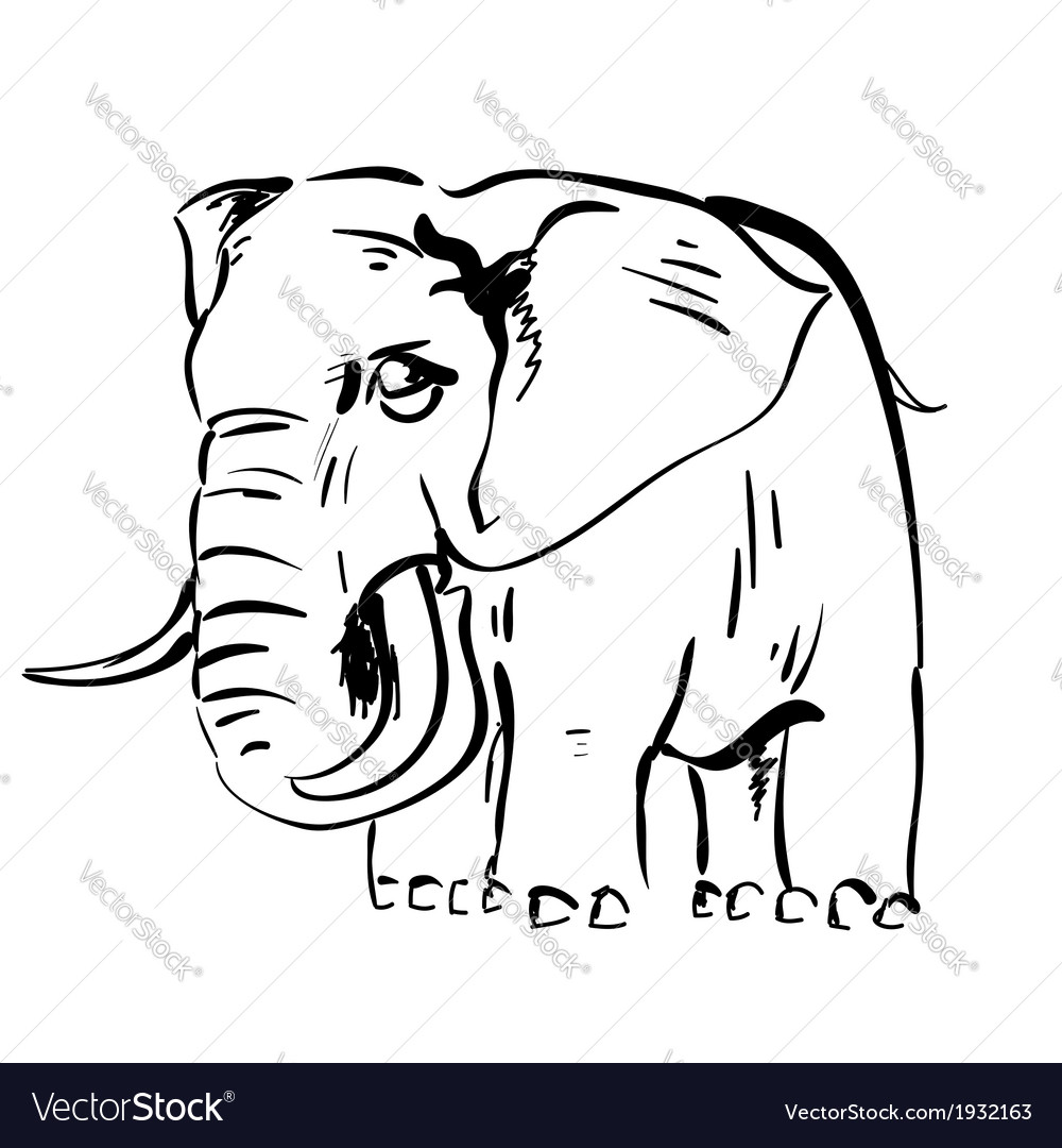 Elephant Royalty Free Vector Image - VectorStock
