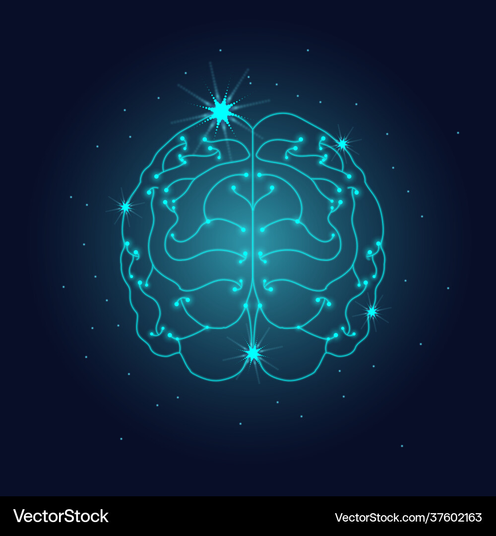 Human nervous system Royalty Free Vector Image