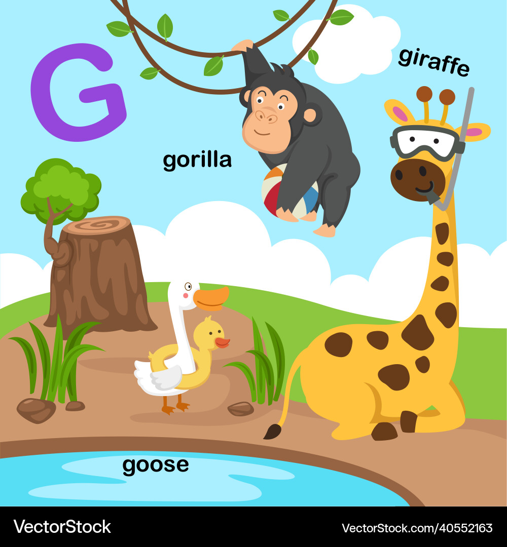 Isolated alphabet letter g-giraffegoosegorilla Vector Image
