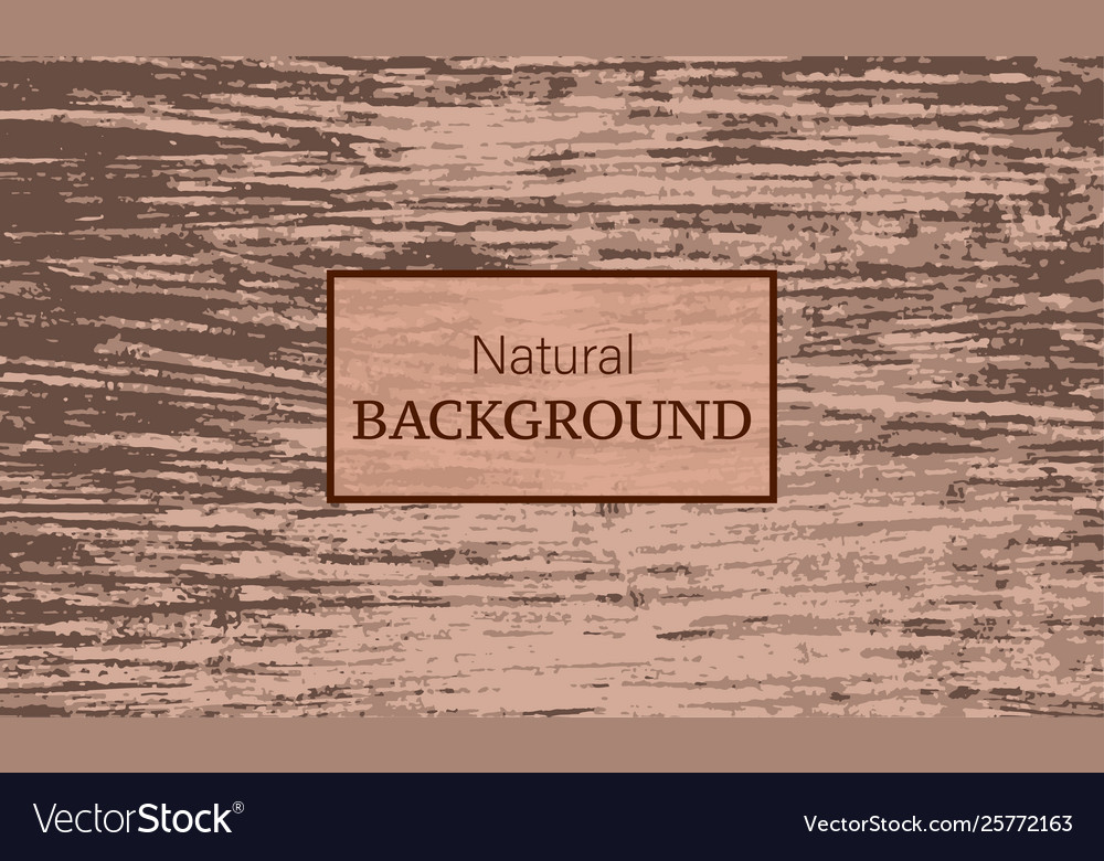 Natural texture background Royalty Free Vector Image