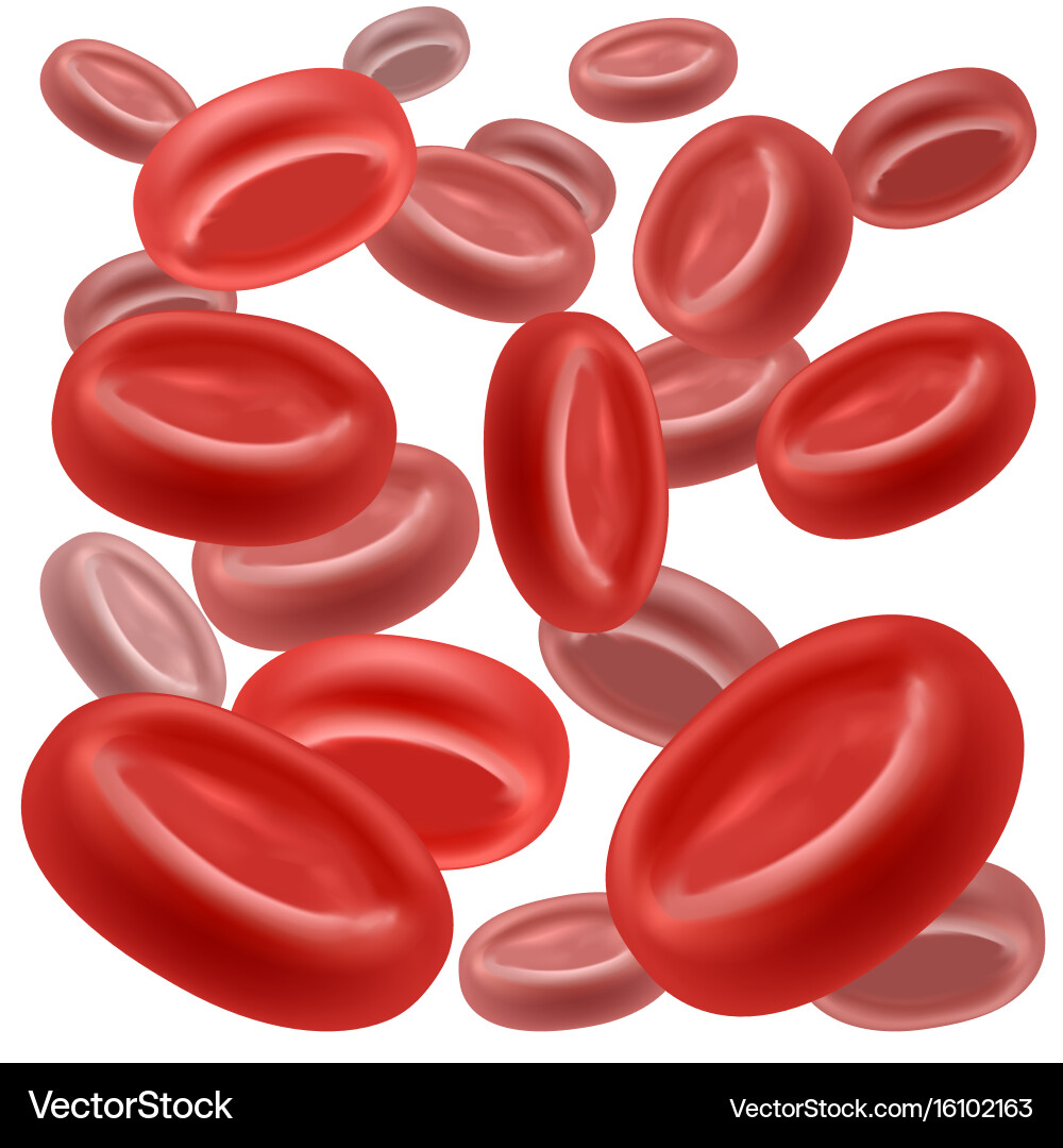 Realistic blood erythrocyte background card Vector Image