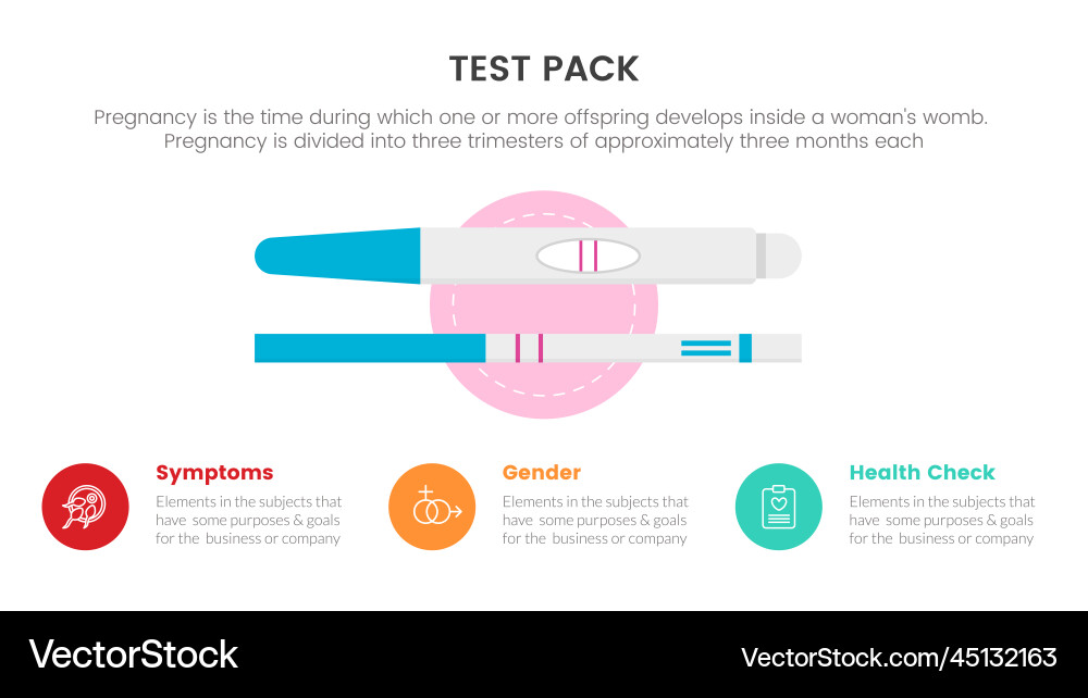 Test pack pregnant or pregnancy infographic Vector Image