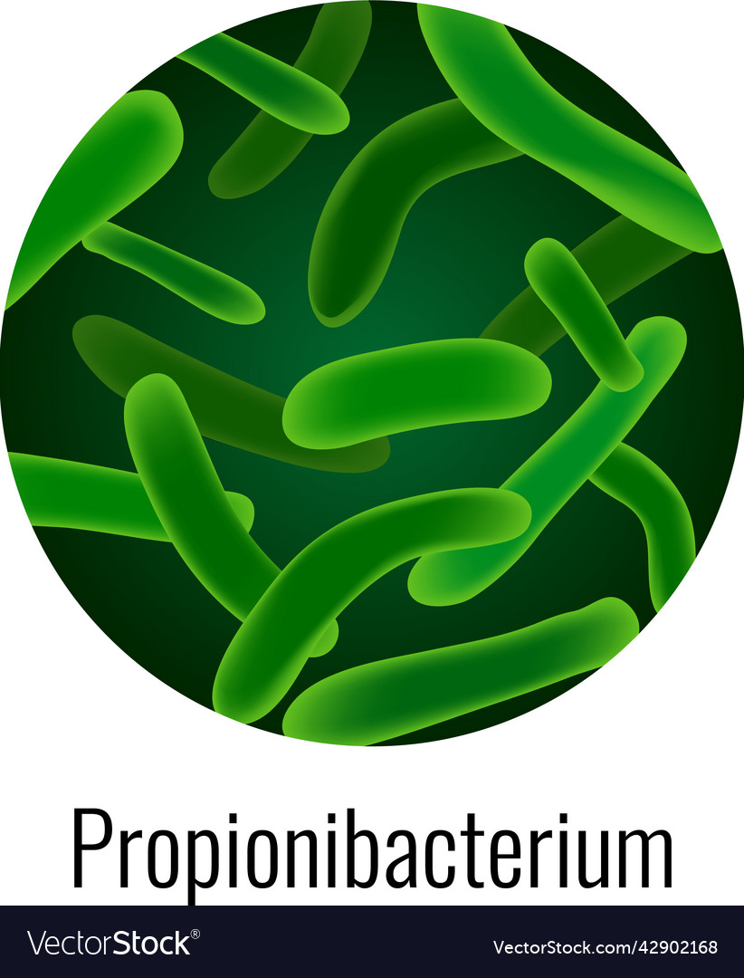 Propionibacterium bacteria round composition Vector Image