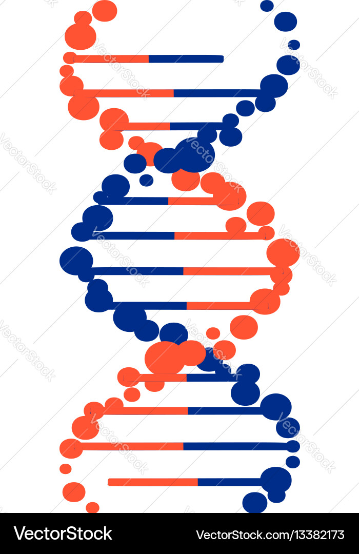 Dna molecule sign genetic elements and icons Vector Image