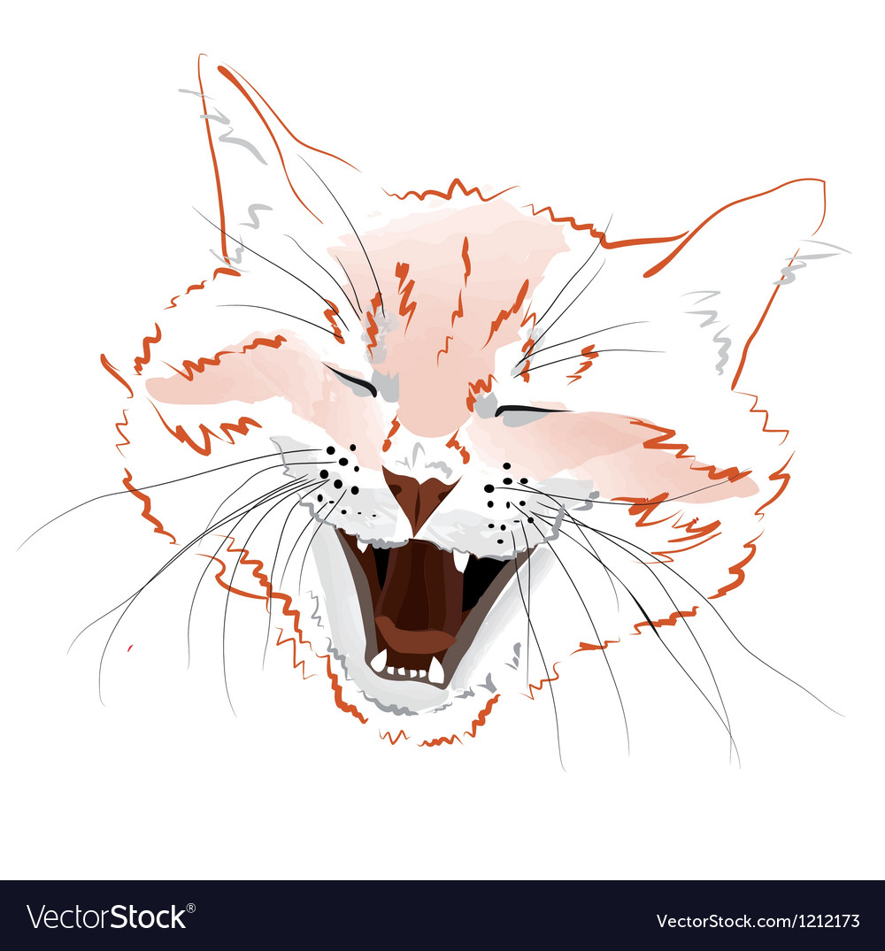 Face red cat Royalty Free Vector Image - VectorStock