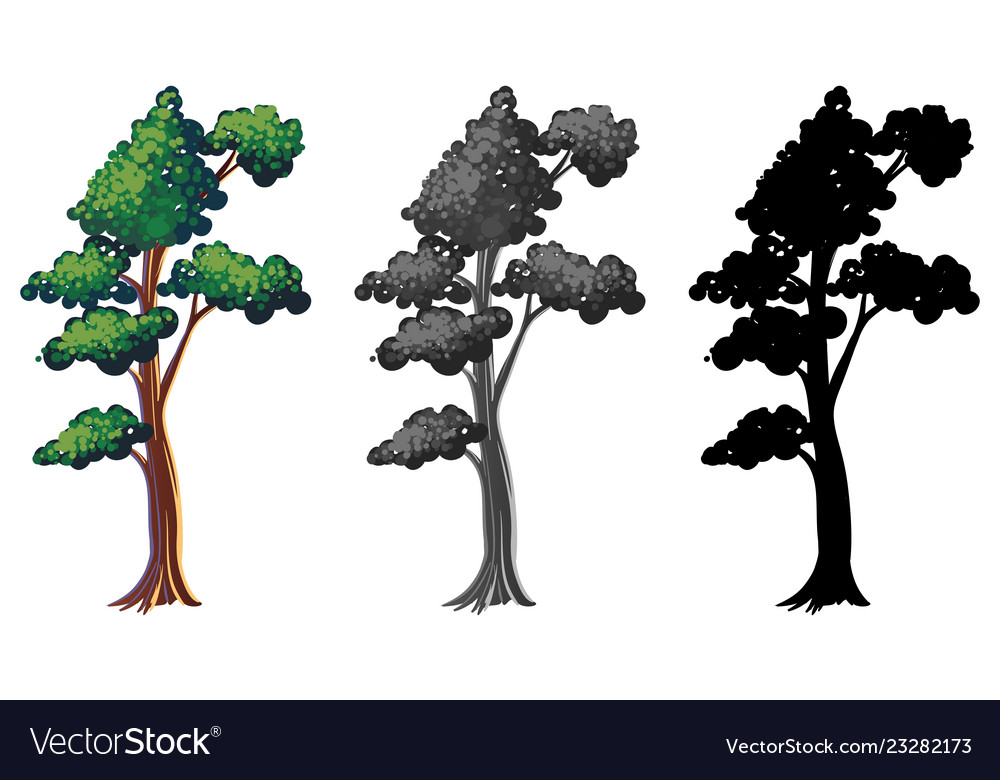 Set different tree design Royalty Free Vector Image