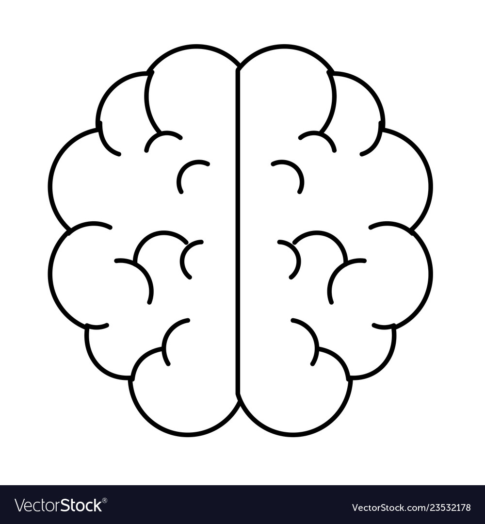 Brain isolated icon Royalty Free Vector Image - VectorStock
