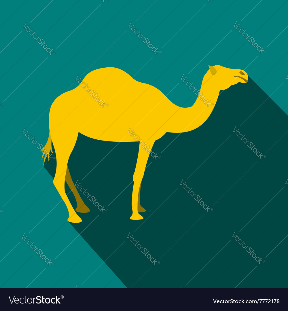 Camel icon flat style Royalty Free Vector Image
