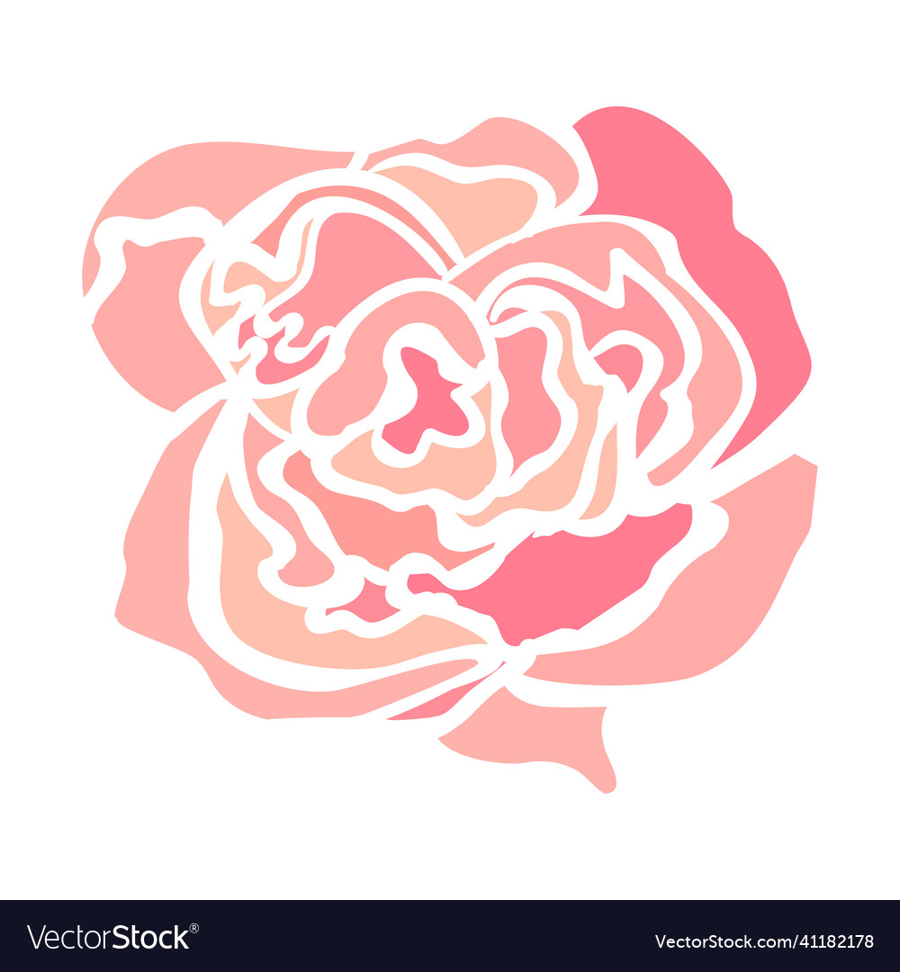 Rose flower Royalty Free Vector Image - VectorStock