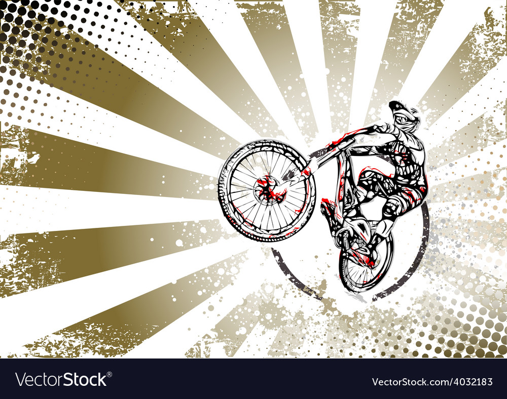 Bmx poster Royalty Free Vector Image - VectorStock