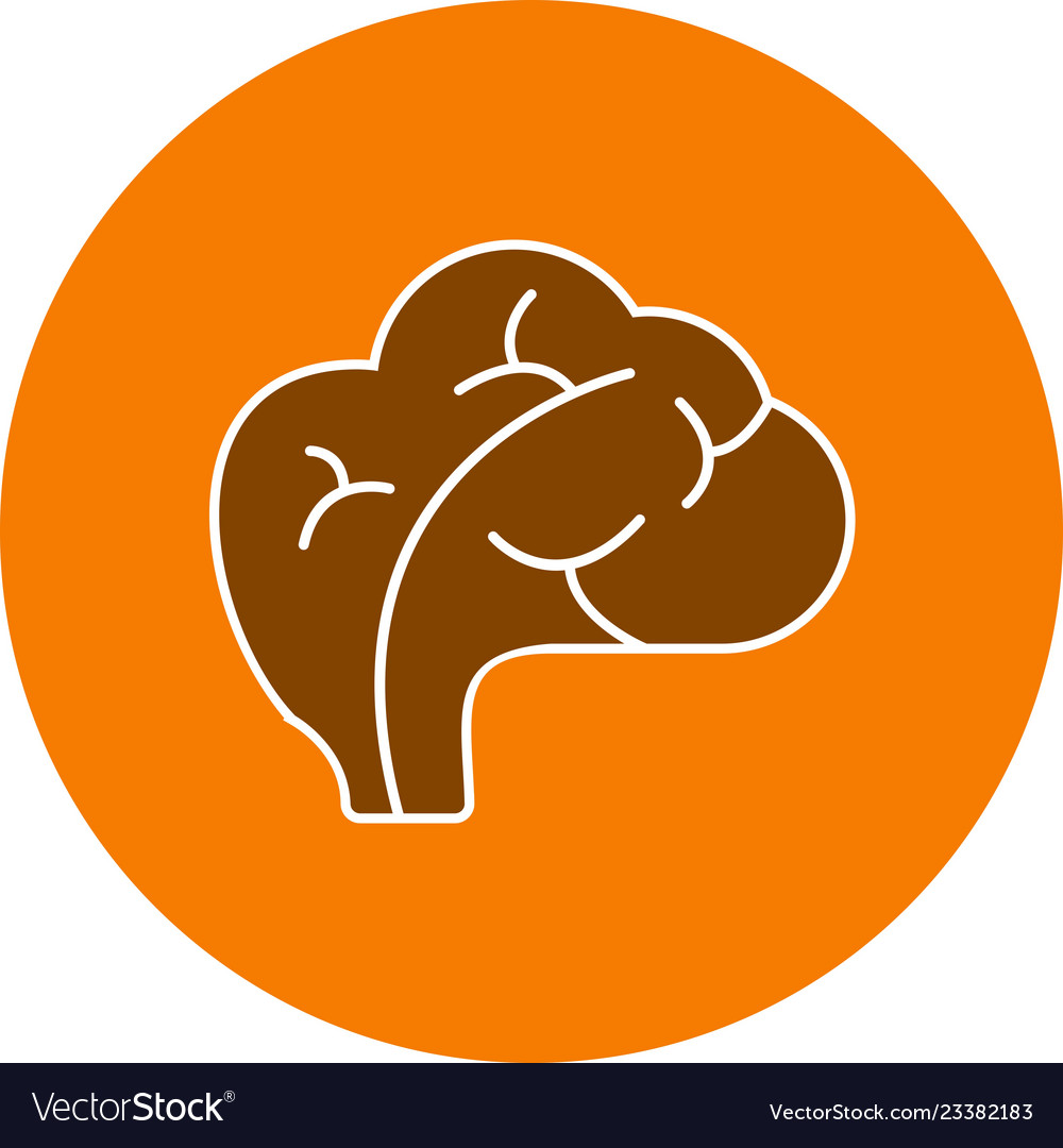 Brain icon Royalty Free Vector Image - VectorStock