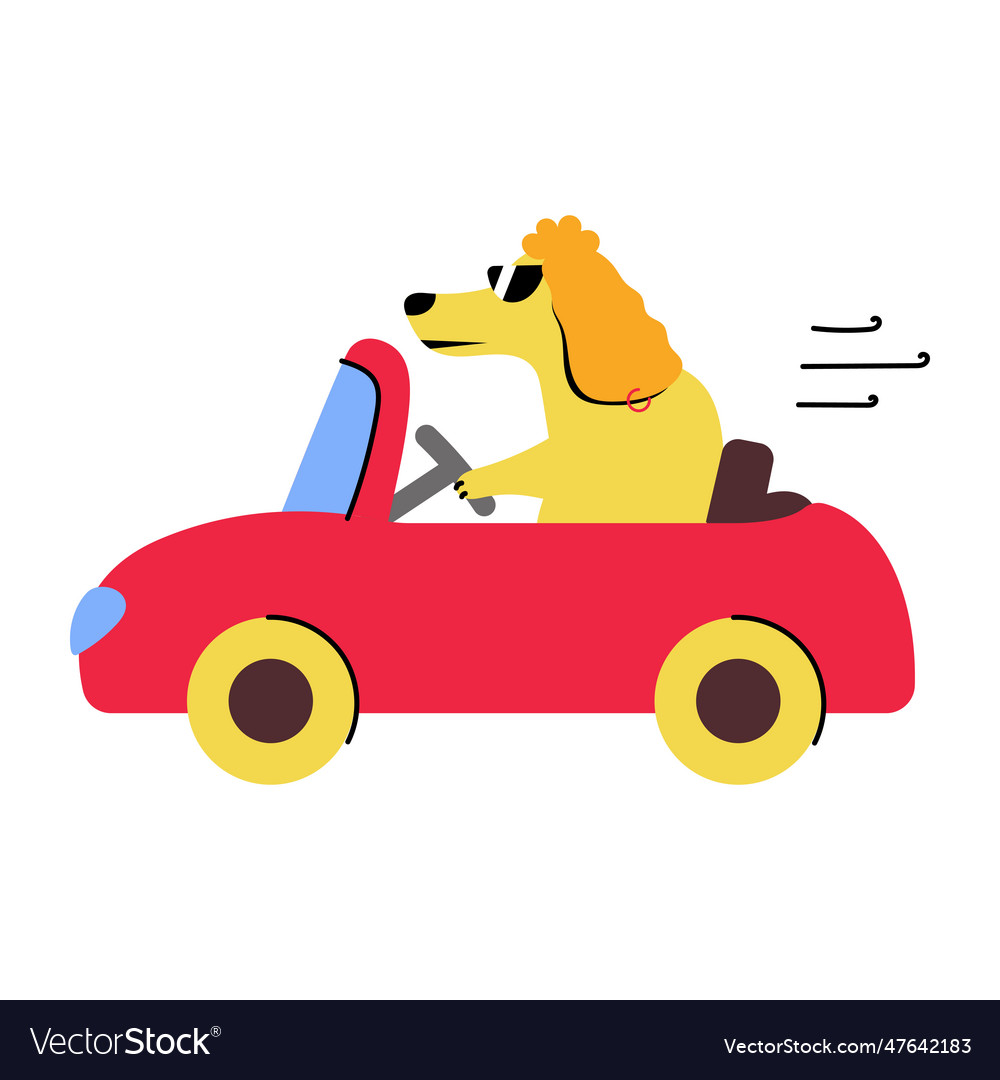 Dog driving Royalty Free Vector Image - VectorStock