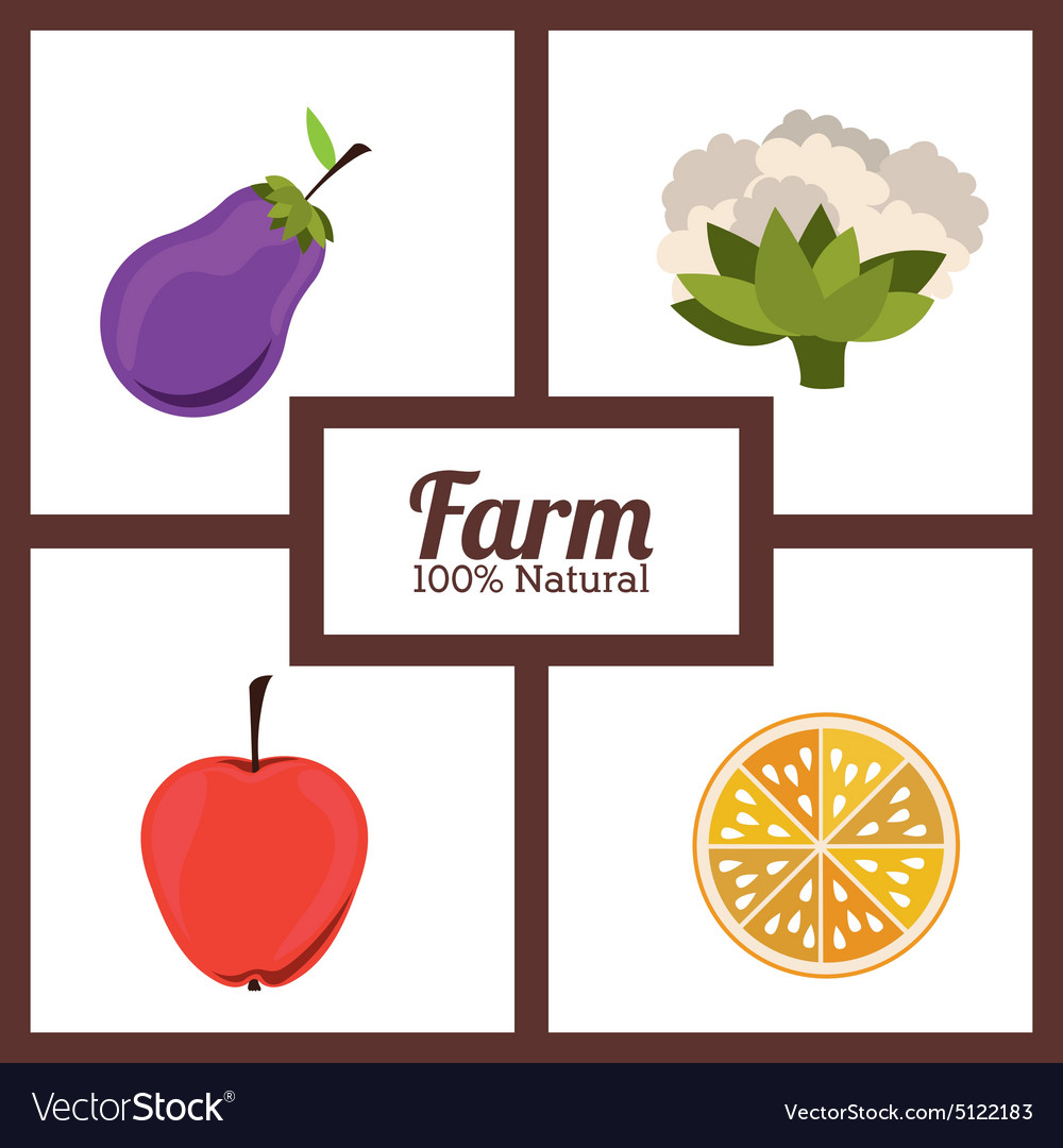 Farm design Royalty Free Vector Image - VectorStock