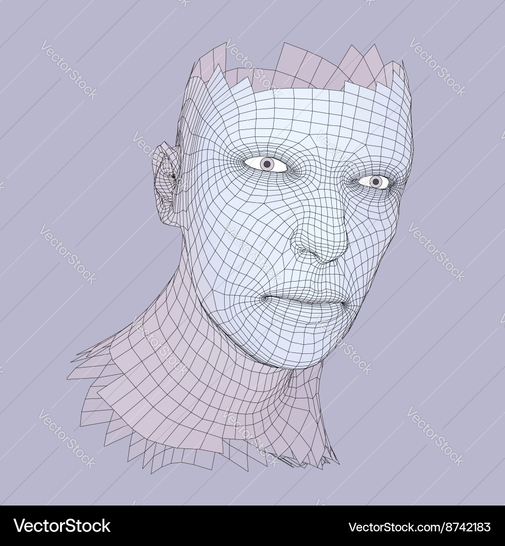 Head of the person from a 3d grid human wire Vector Image