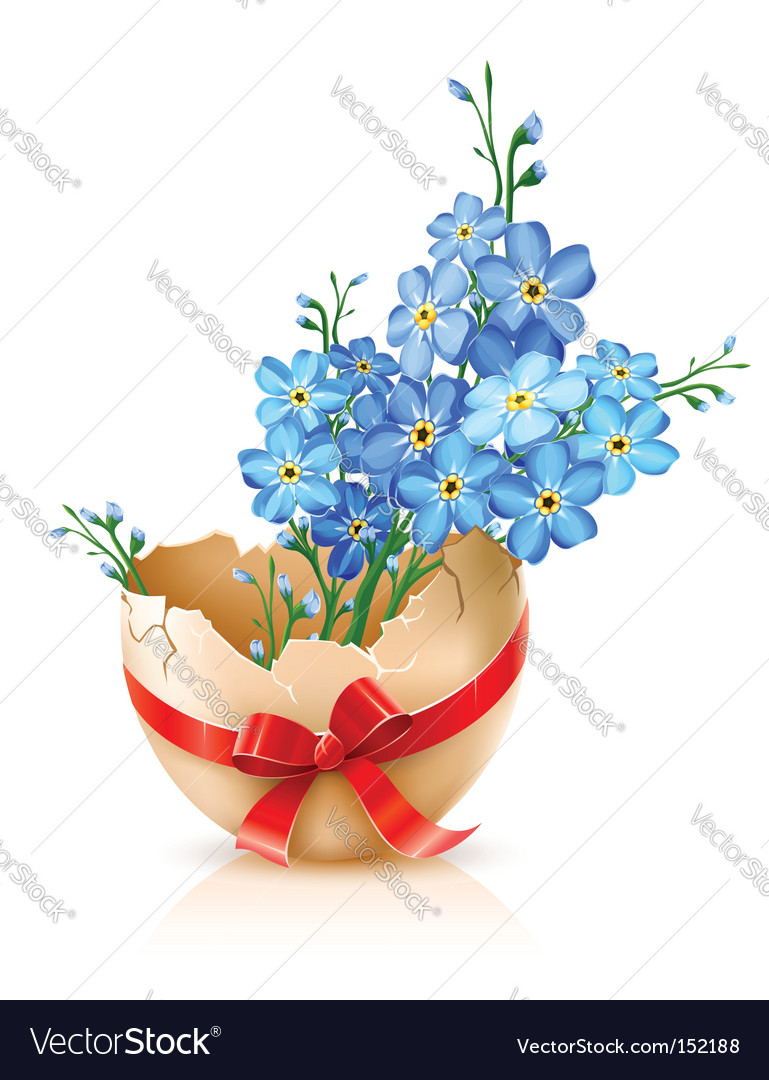 Egg shell Royalty Free Vector Image - VectorStock