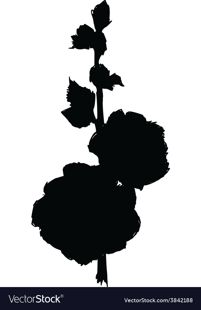 Mallow Royalty Free Vector Image - VectorStock