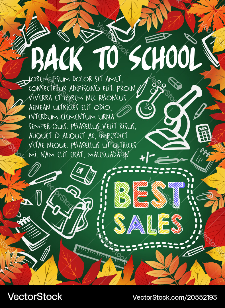Back to school special offer poster sale design Vector Image