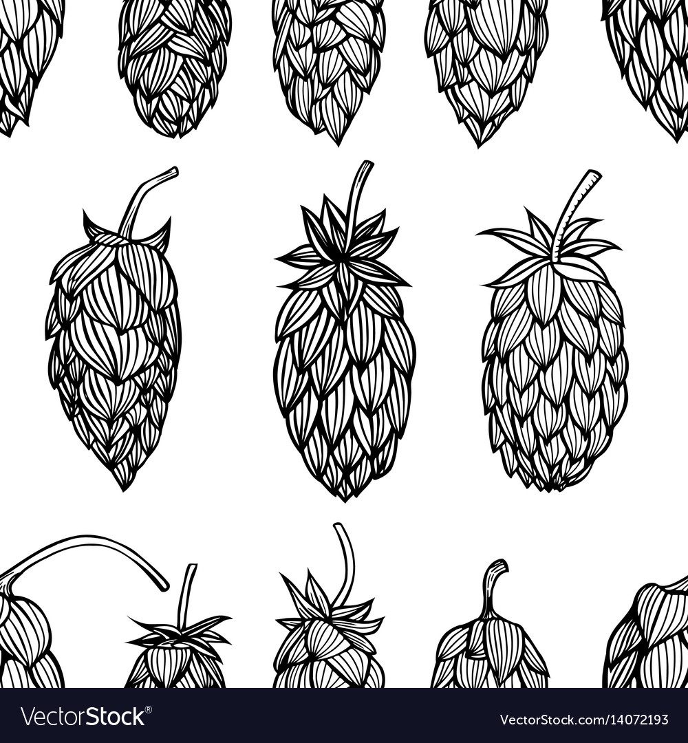 Hop beer seamless pattern Royalty Free Vector Image