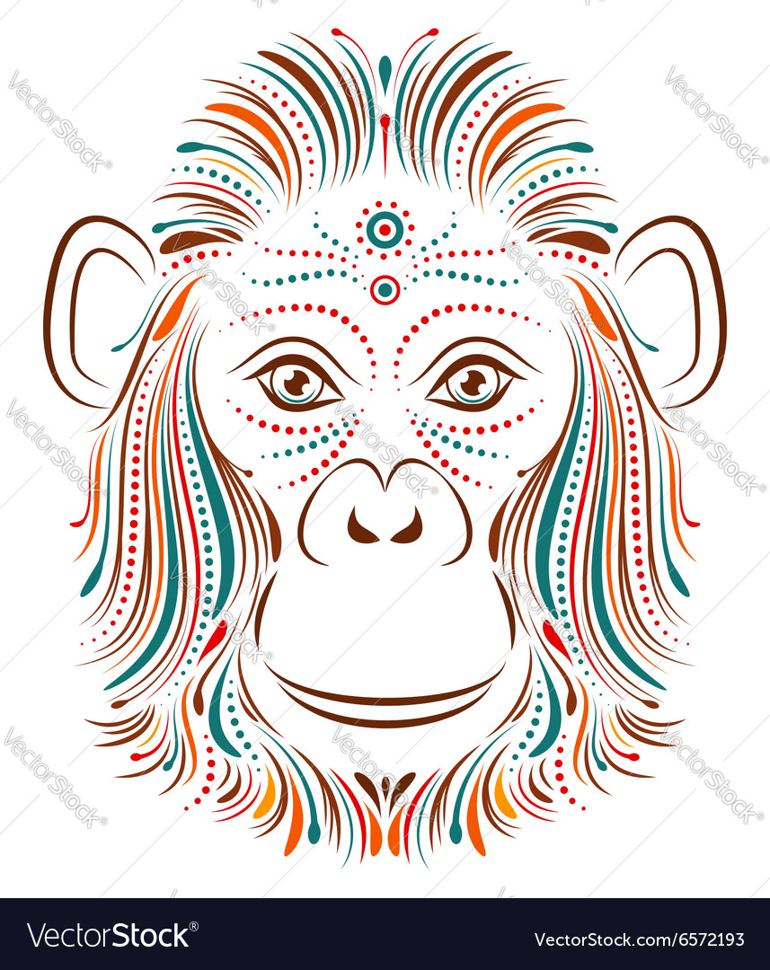 Monkey on white background Royalty Free Vector Image