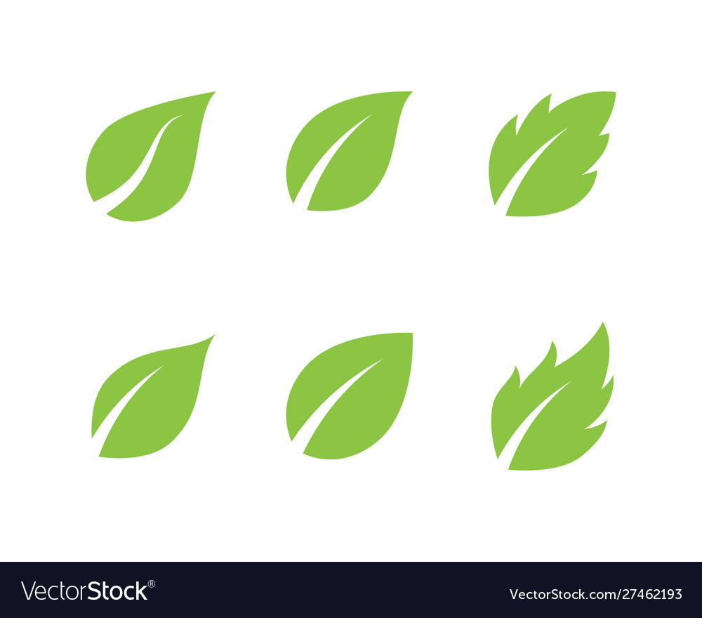 Tree leaf icon template Royalty Free Vector Image