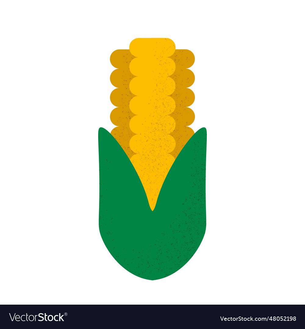 Corn textured Royalty Free Vector Image - VectorStock