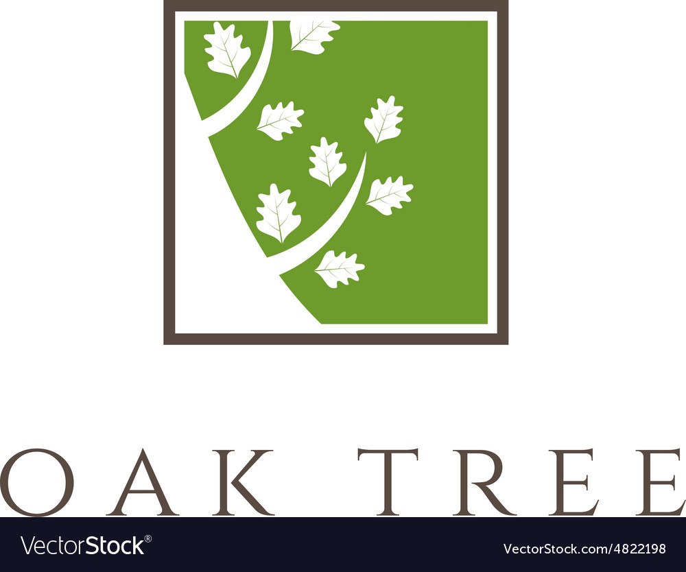 Oak tree icon Royalty Free Vector Image - VectorStock