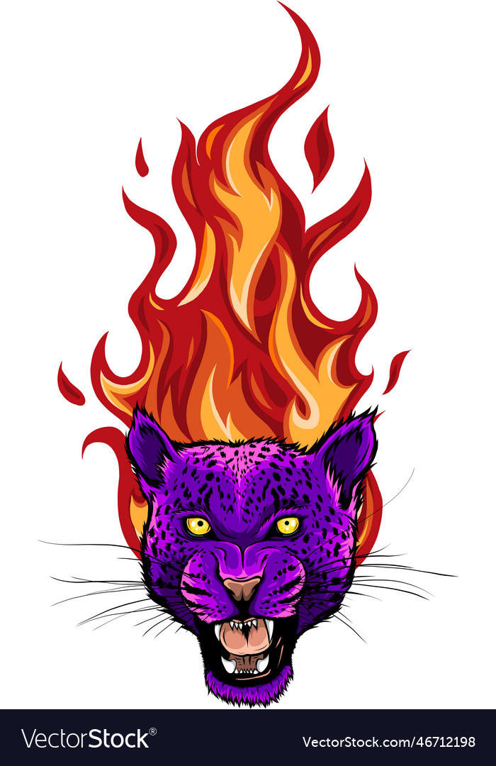 Roaring leopard head Royalty Free Vector Image