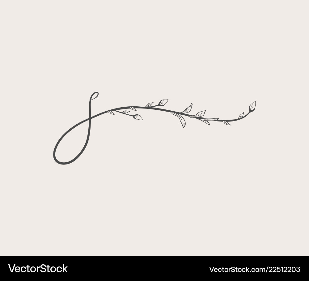 Hand drawn floral s monogram and logo Royalty Free Vector