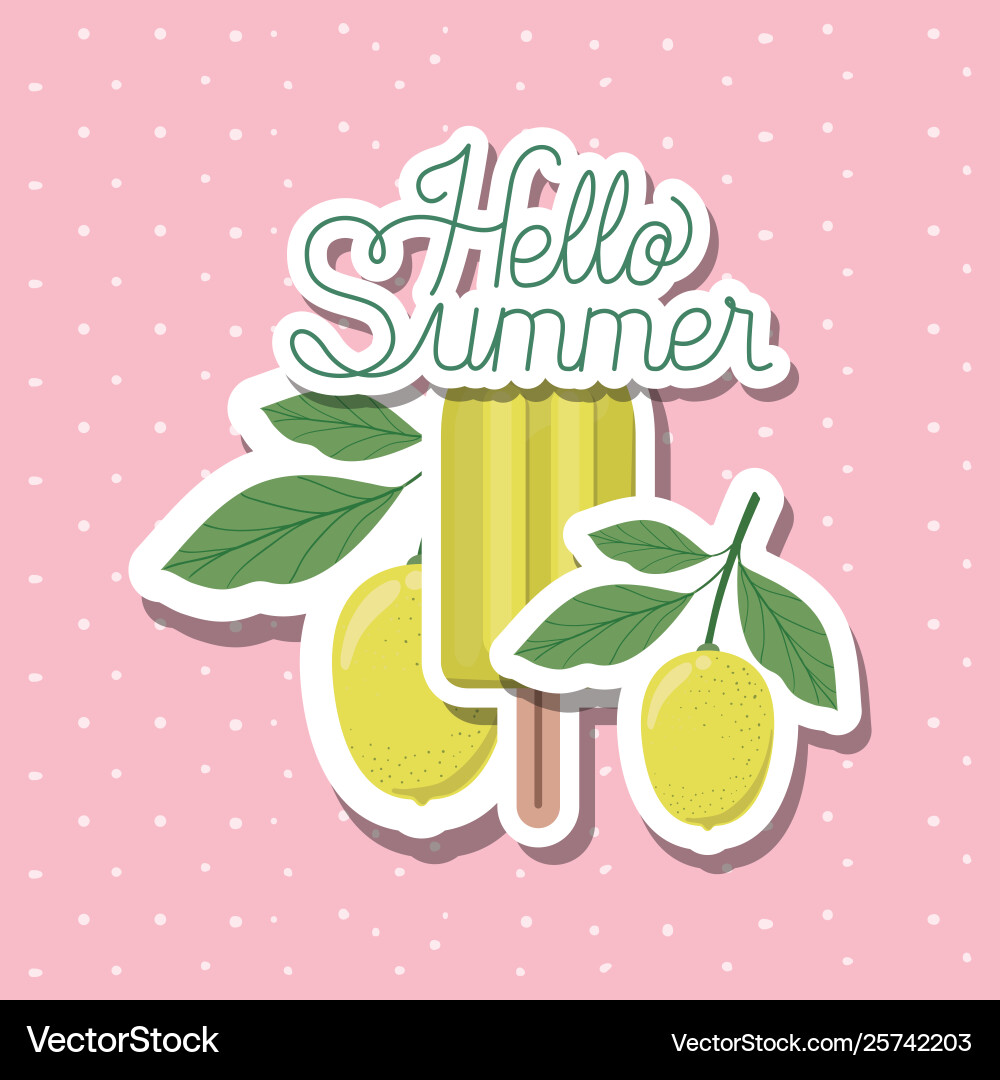 Hello summer and vacation stickers design Vector Image