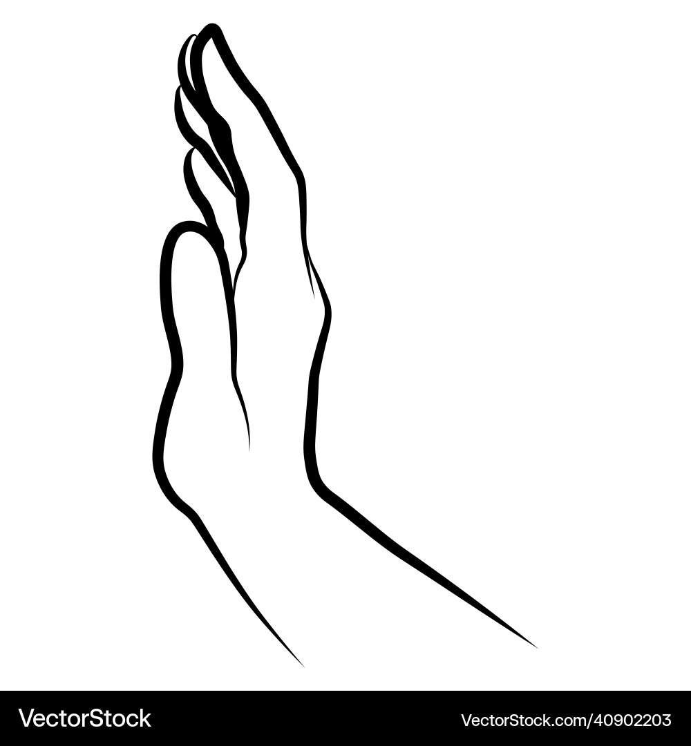 Women hand simple outline minimalistic linear Vector Image